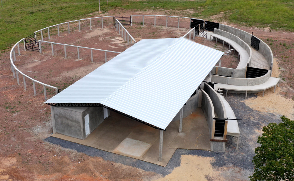 Cuidados com o curral de concreto para bovinos: qual é a importância ...